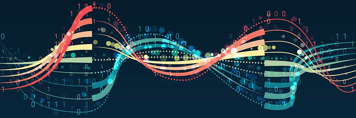 7 algorithmes à connaître en 2021 : fonctionnalités, différences ...