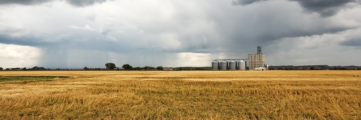 Le groupe agro-industriel Avril confirme être confronté à une ...